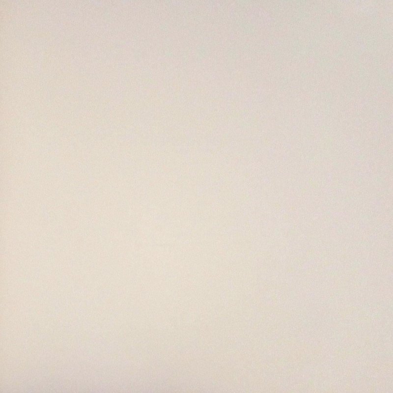 Papel de Parede New Vision SJ10401 - Papel na Parede – Adesivo